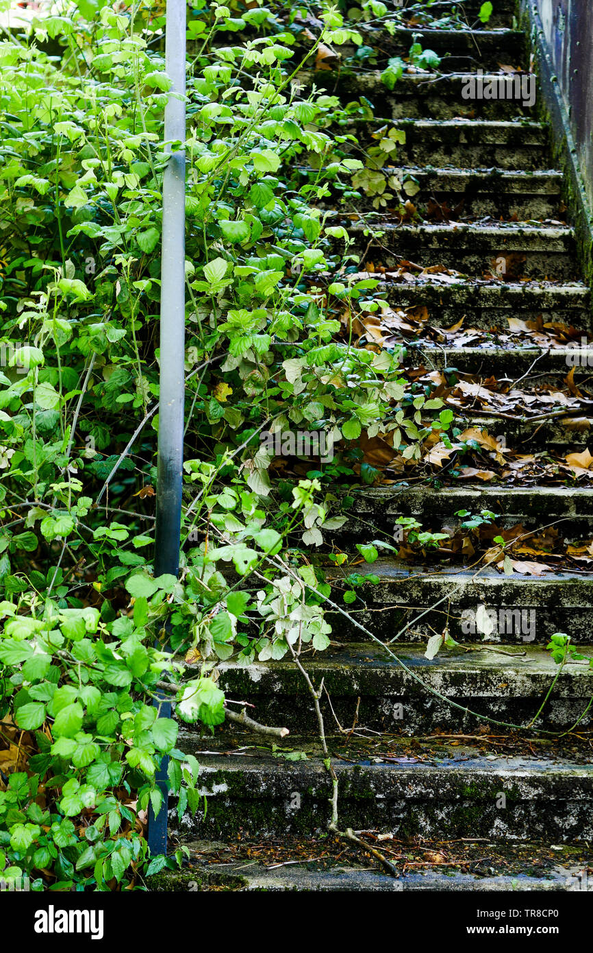 Springtime view of an Abandonned garden surrounding a dead man house ...