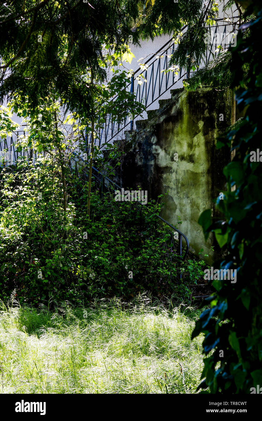 Springtime view of an Abandonned garden surrounding a dead man house ...