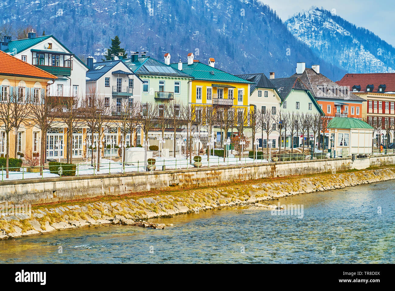 The line of young trees in front of colorful historic houses of ...