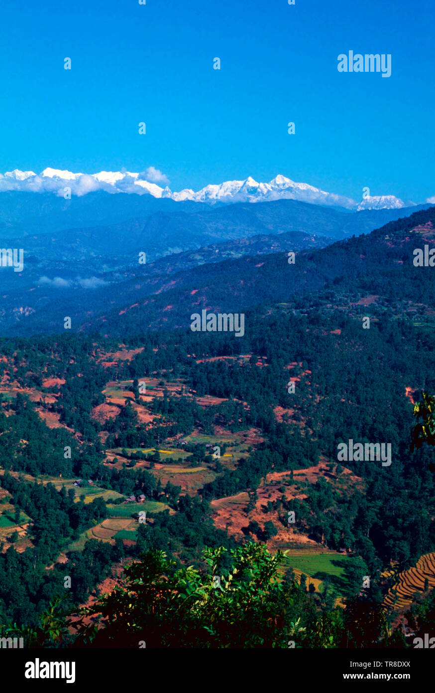 Eastern Nepal countryside and Himalayas Stock Photo - Alamy