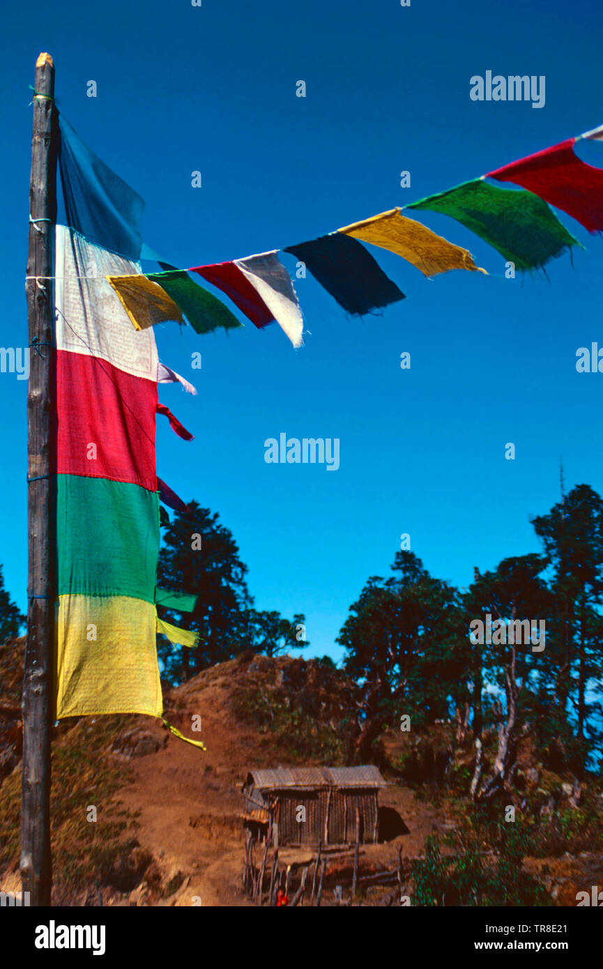 Prayer flags,village of Chauki,Eastern Nepal Stock Photo - Alamy