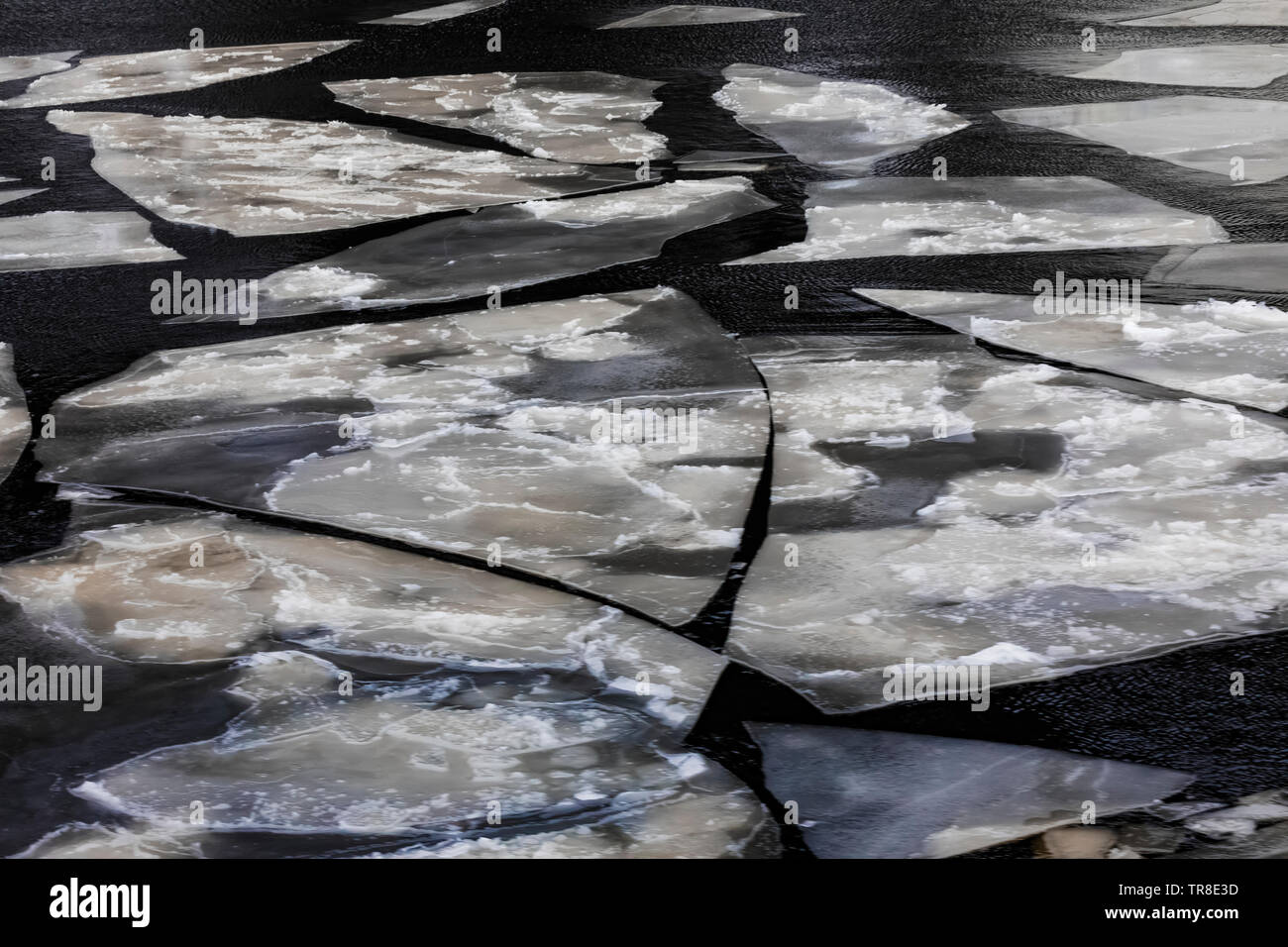 Grey river newfoundland hi-res stock photography and images - Alamy