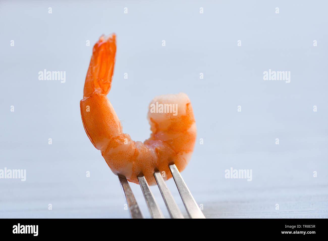 Shrimp on fork / Cooked seafood shrimps prawns ocean gourmet dinner in ...