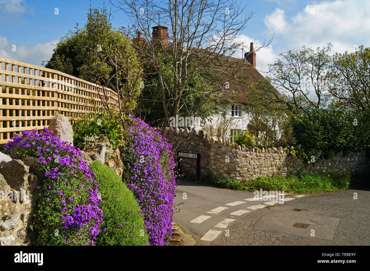 Cottage by spring hi-res stock photography and images - Alamy
