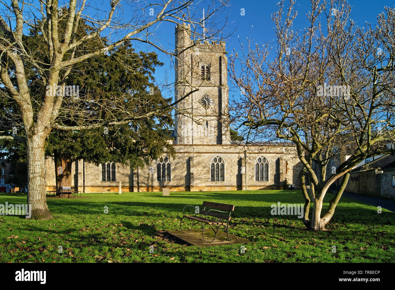 UK,Devon,Axminster,St Mary's Church Stock Photo - Alamy