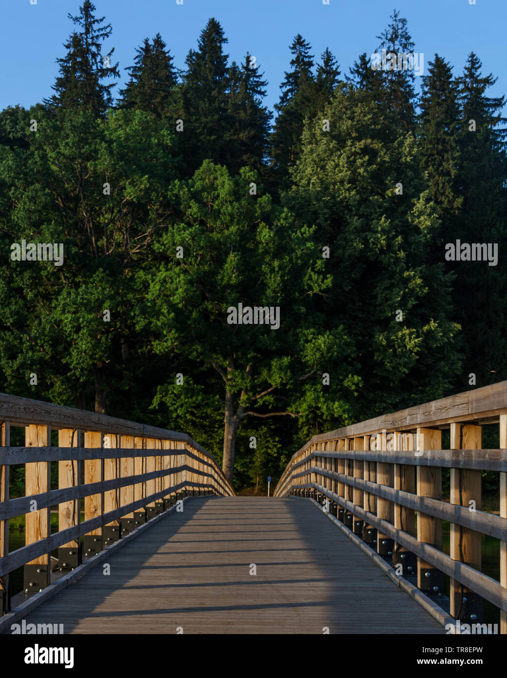 Wooden singing bridge over lake Alūksne on a sunny summer day Stock ...