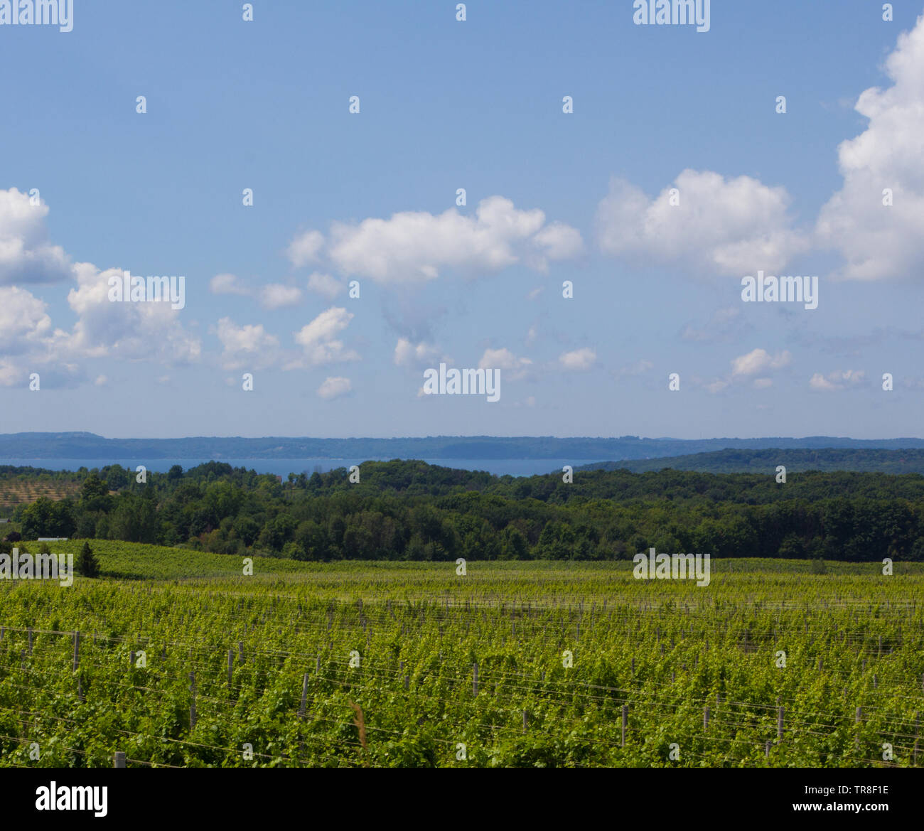 Old Mission Peninsula, Michigan Stock Photo - Alamy