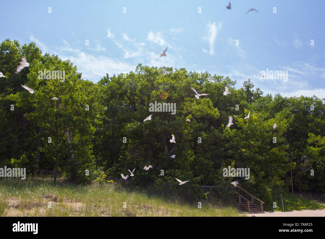 Old Mission Peninsula, Michigan Stock Photo - Alamy