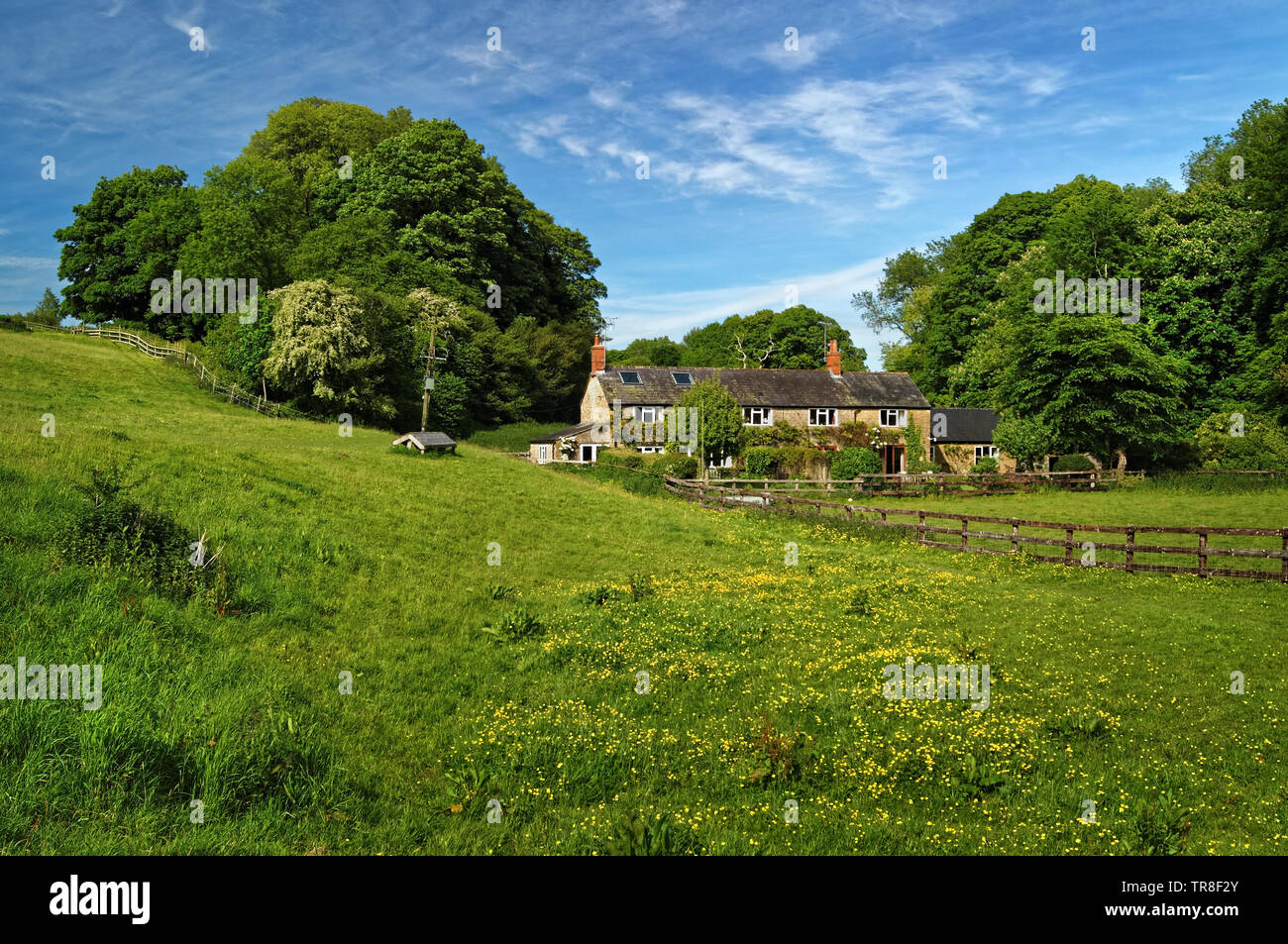 Beaminster, dorset hi-res stock photography and images - Alamy