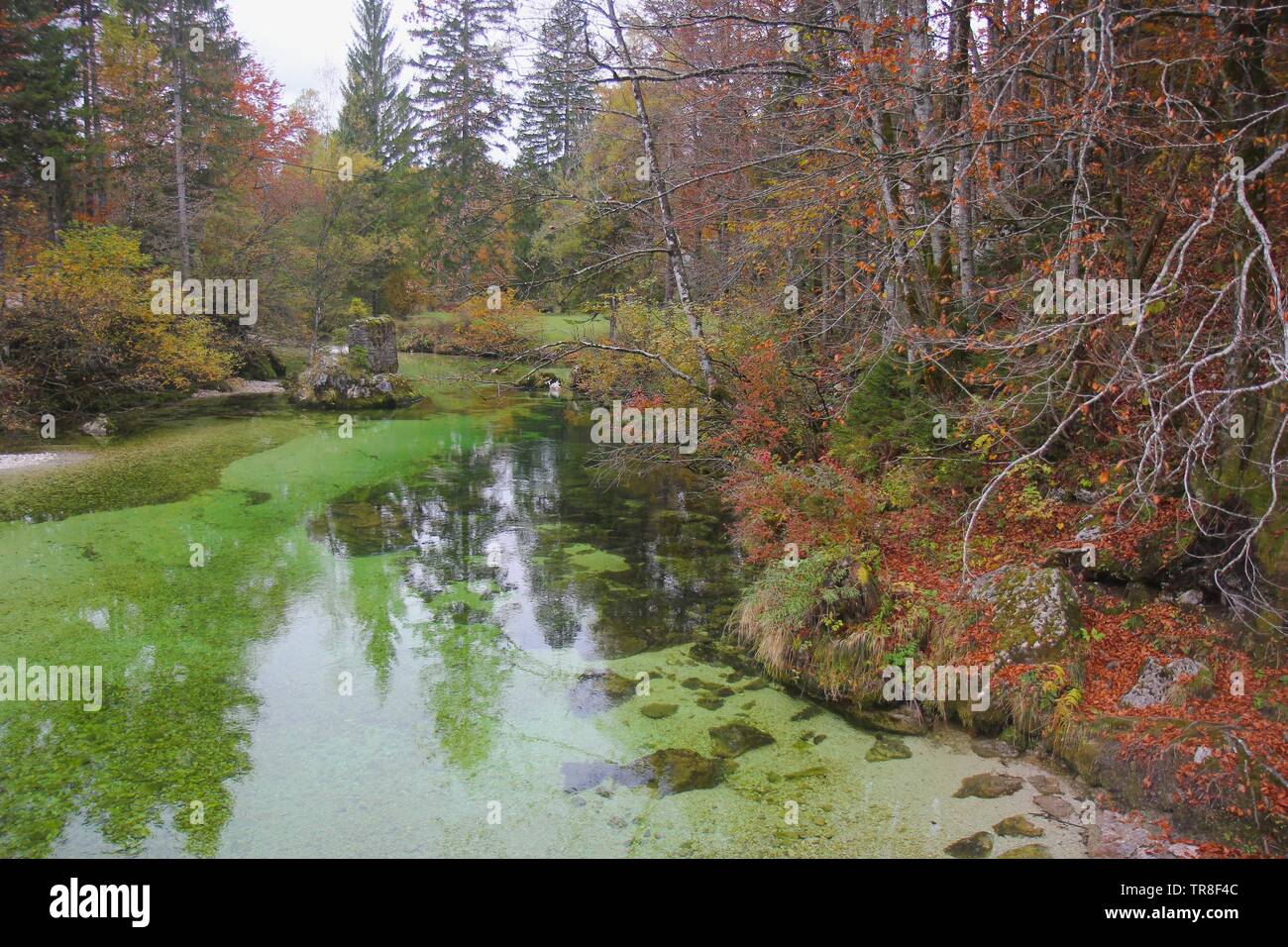 Juliana trail hi-res stock photography and images - Alamy