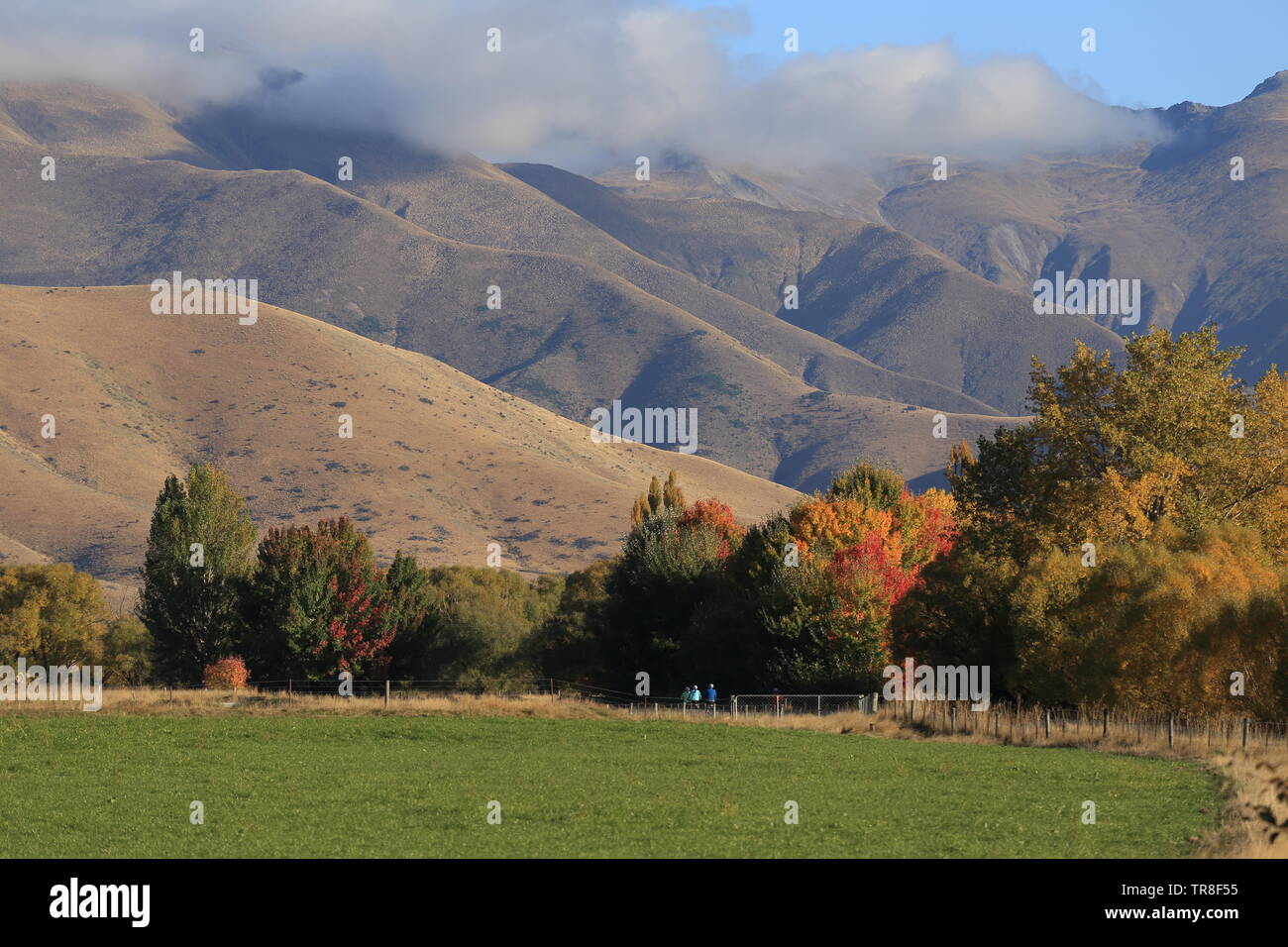 Cyclists on Alps 2 Ocean cycle trail, New Zealand, with backdrop of Ben ...