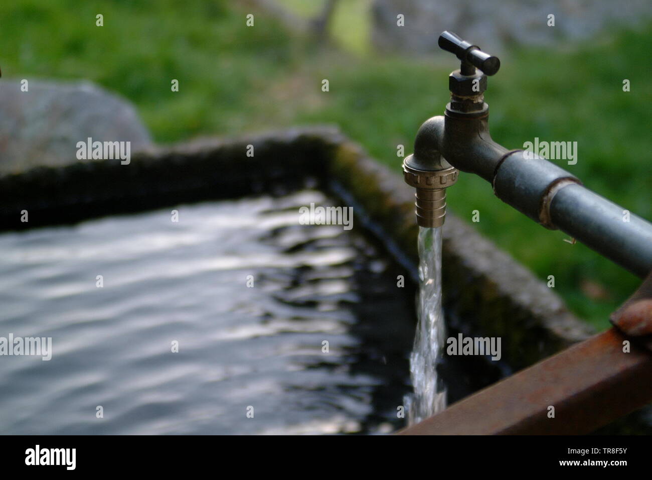 Faucet and waste of water Stock Photo - Alamy