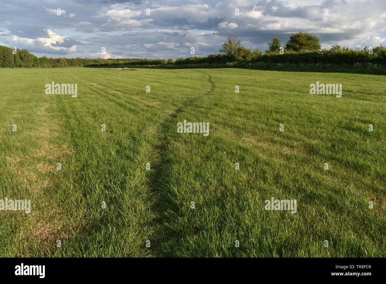 Thames Path, national trail, Kemble Gloucestershire Stock Photo - Alamy
