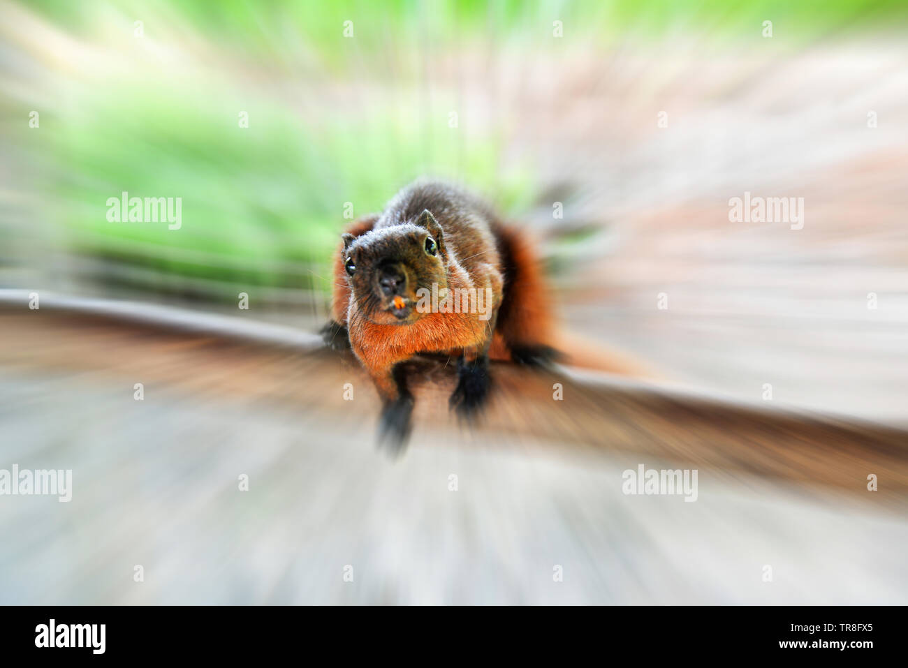 Freedom to rotate hi-res stock photography and images - Alamy