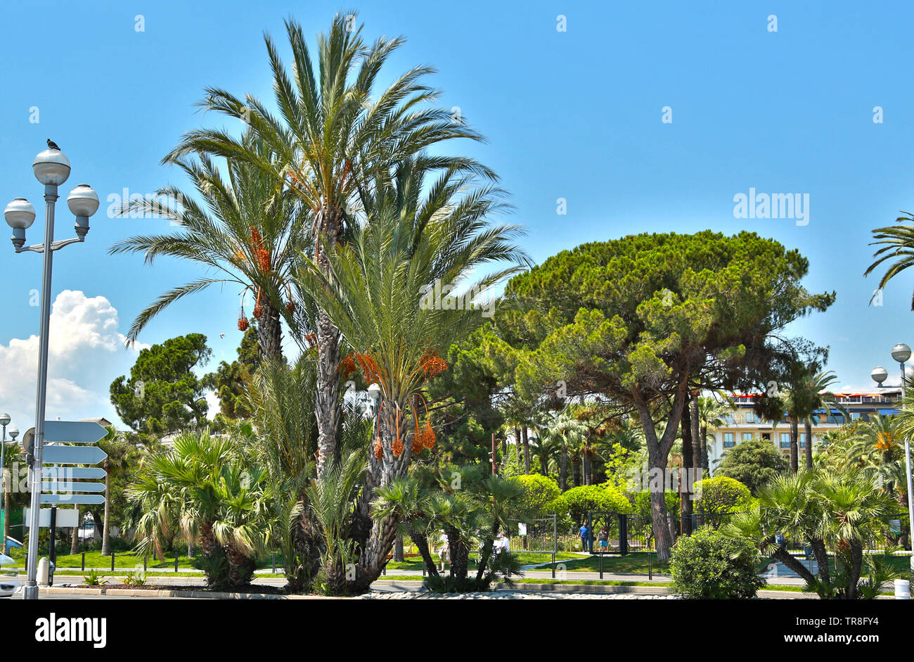 Nice summer day hi-res stock photography and images - Alamy