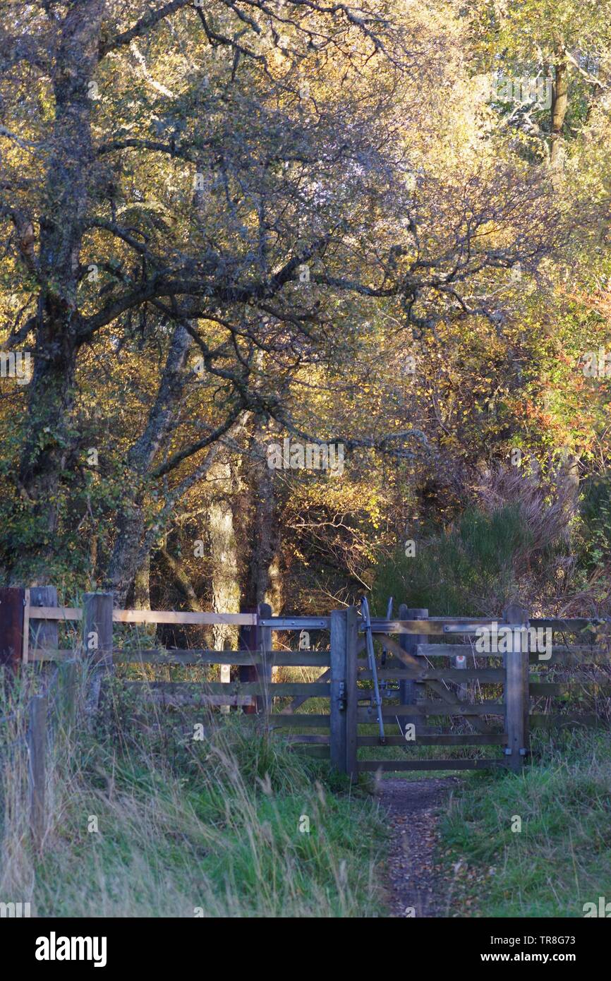 Golden Gate Nature Reserve High Resolution Stock Photography and Images ...