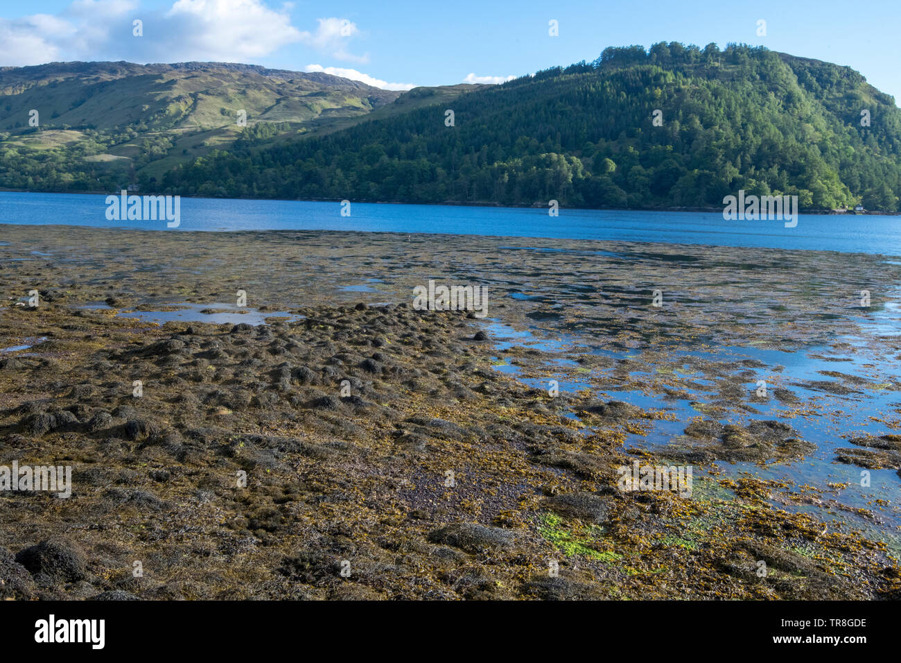 Loch dutch hi-res stock photography and images - Alamy