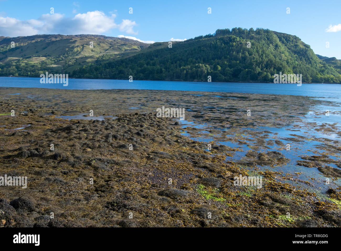 Loch dutch hi-res stock photography and images - Alamy