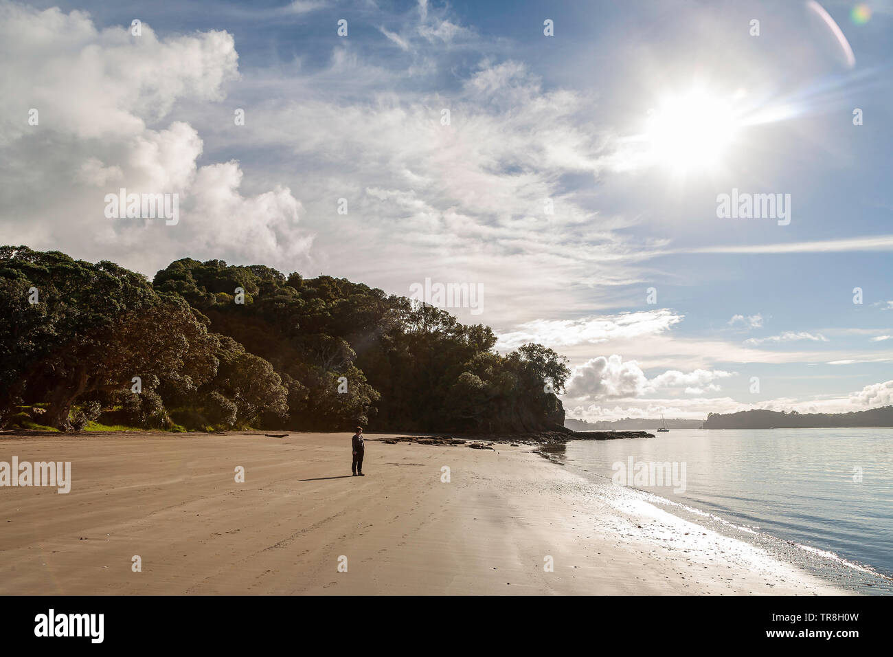 morning view of sulivan bay mahurangi harbour north of auckland new ...