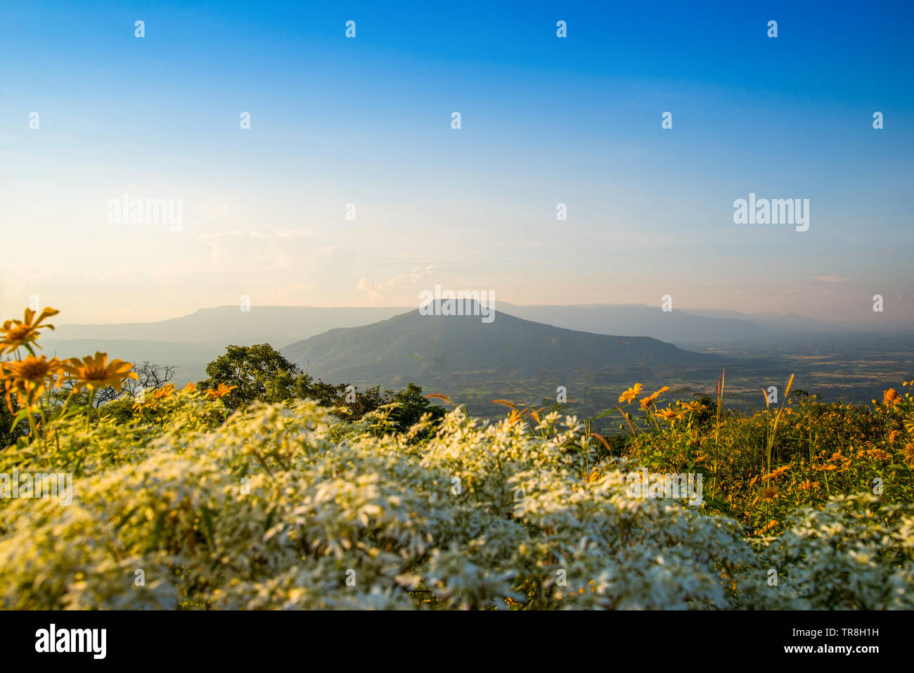Landscape Thailand beautiful mountain scenery view on hill with tree ...
