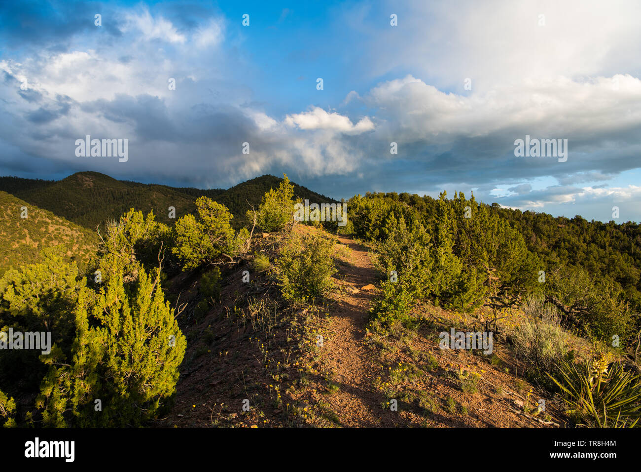 High Hills High Resolution Stock Photography and Images - Alamy