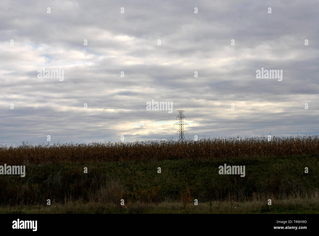 Tower in field Stock Photo - Alamy