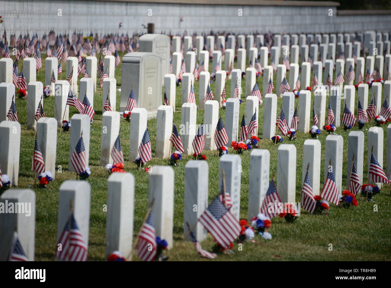 Memorial Day - flags mark heroes graves at a national cemetery Stock ...