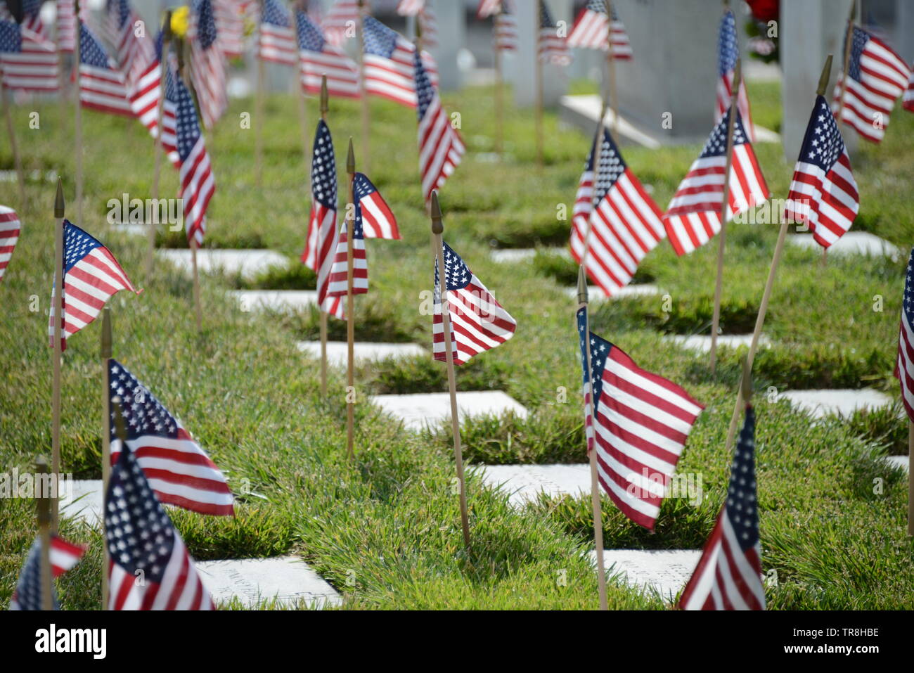 Memorial Day - flags mark heroes graves at a national cemetery Stock ...