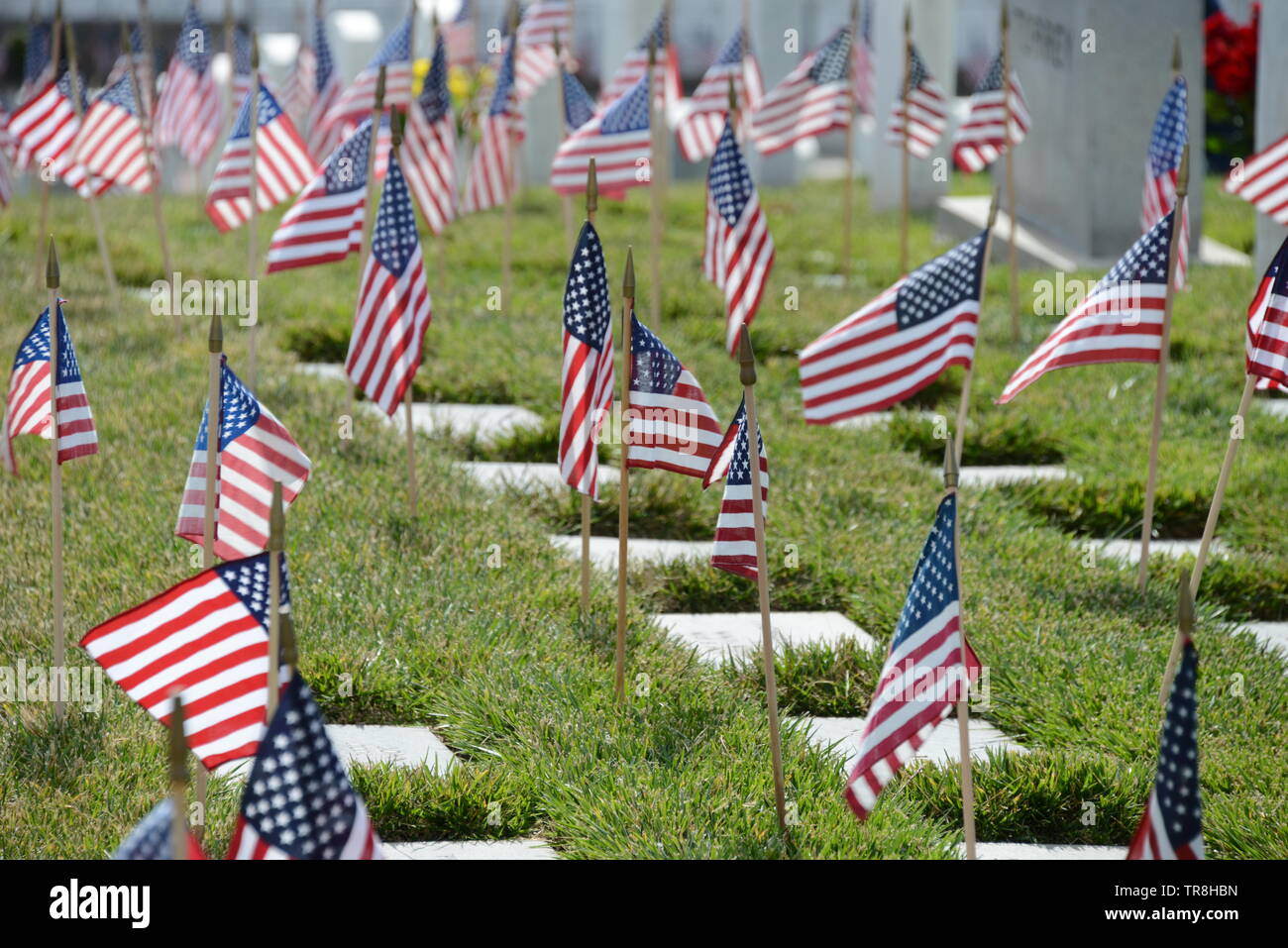 Memorial Day - flags mark heroes graves at a national cemetery Stock ...