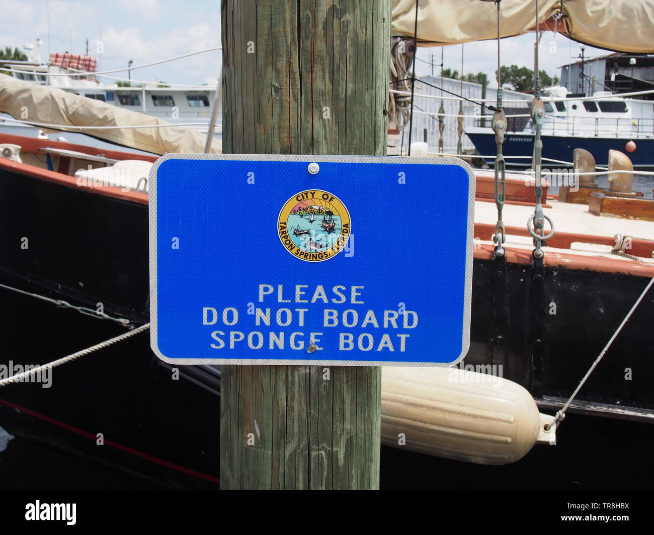 Sponge town hi-res stock photography and images - Alamy
