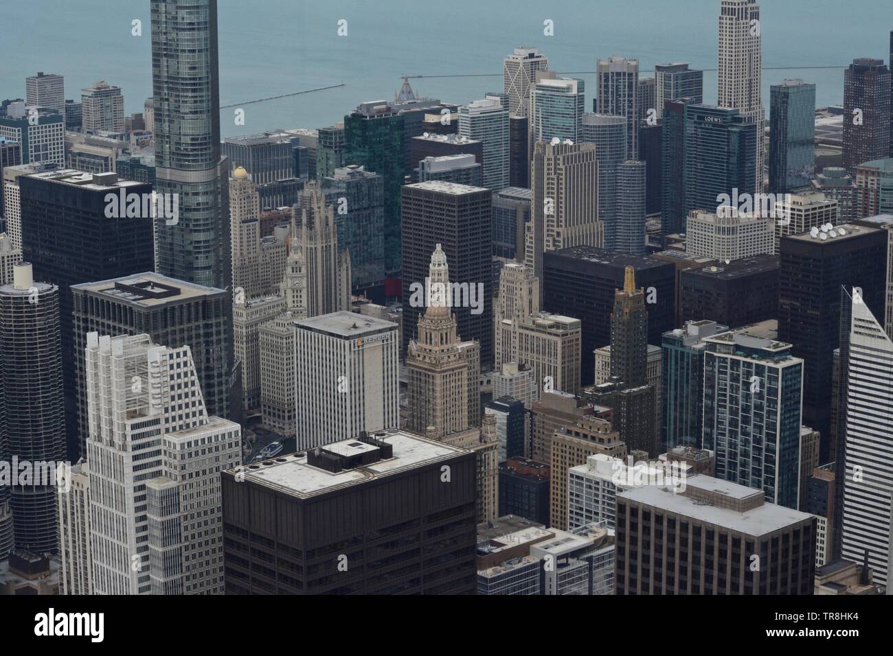The view of Chicago from atop the Willis Tower, central Loop, Chicago ...