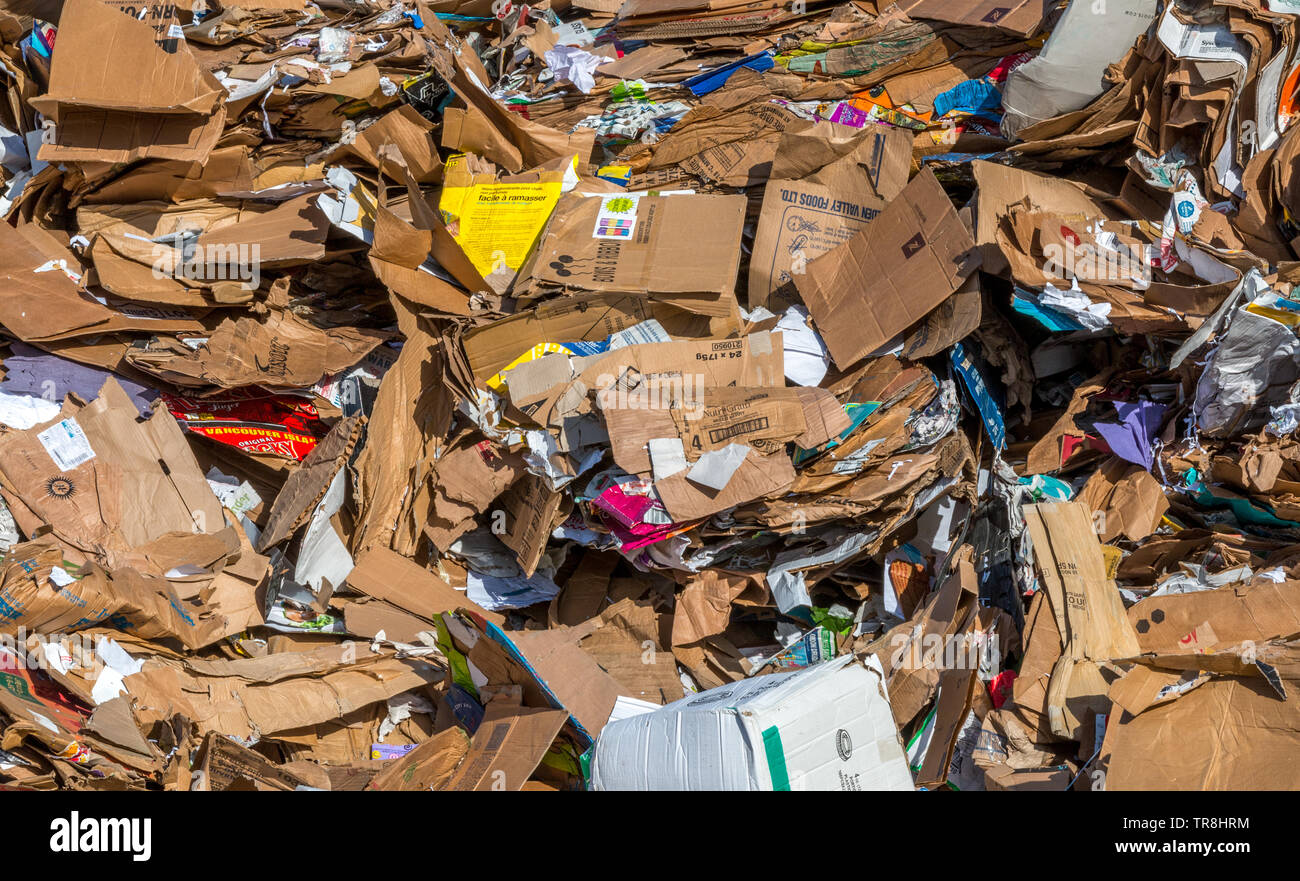 Piles of cardboard and paper await sorting and shipping to a recycling ...