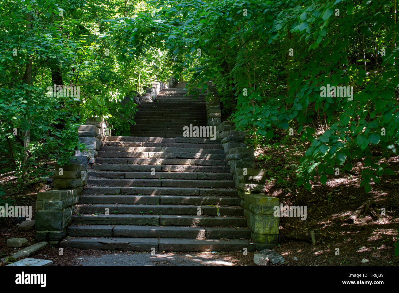 Prospect Park during Summer, Brooklyn, New York Stock Photo - Alamy