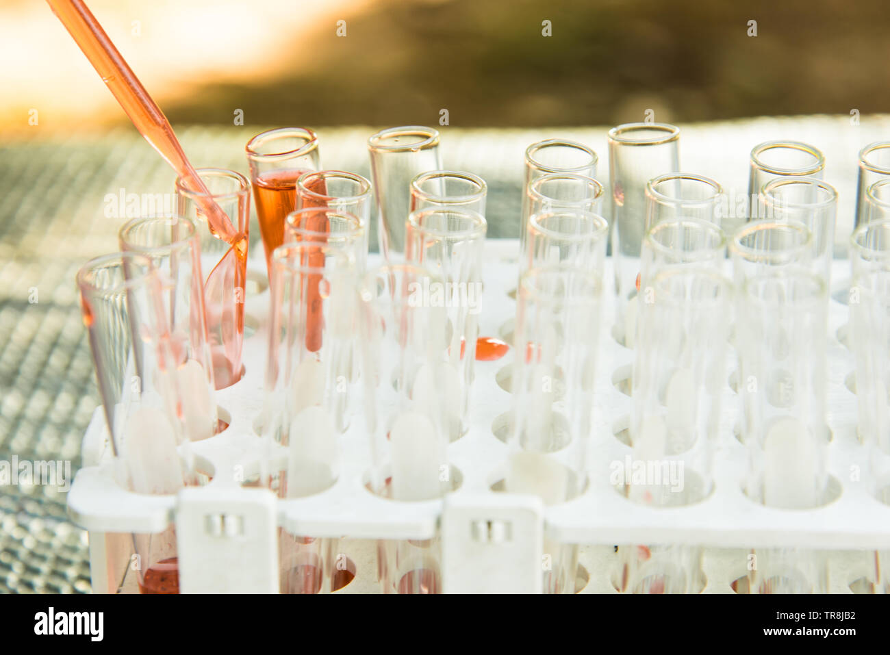 Lab science research glass items adding drop to one of several test ...