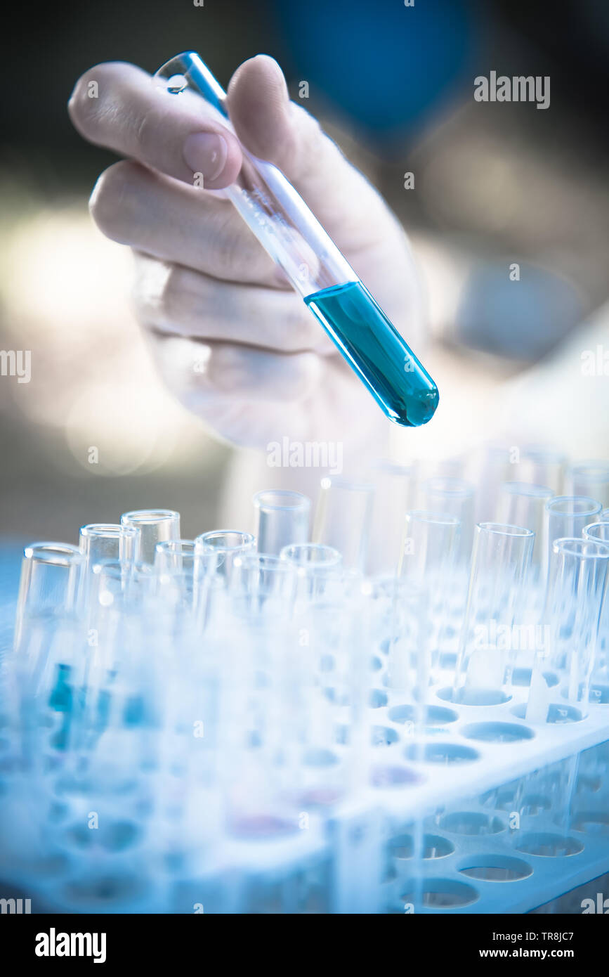 Lab science research glass tube several test tubes. A scientific ...