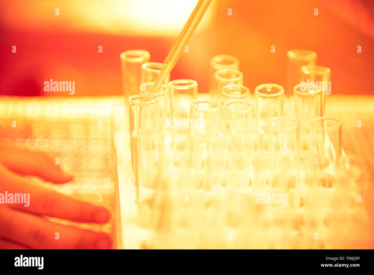 Lab science research glass items adding drop to one of several test ...