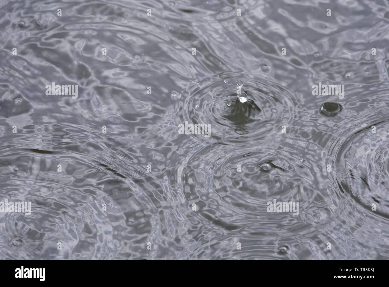 Rain Droplets in the River Stock Photo - Alamy