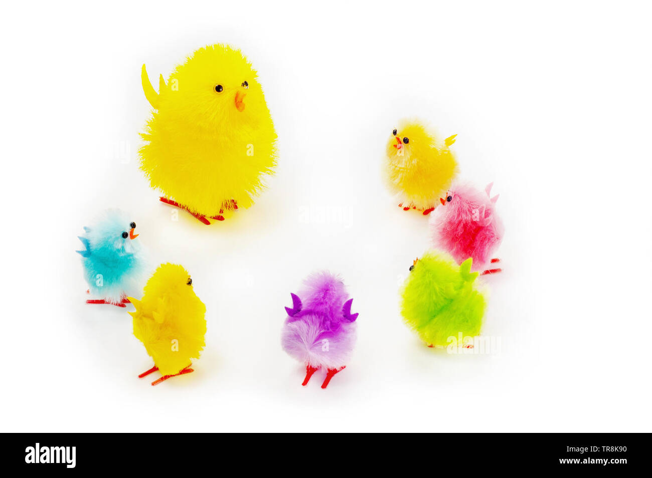 Multicolored easter chicks in semi circle on white background in ...