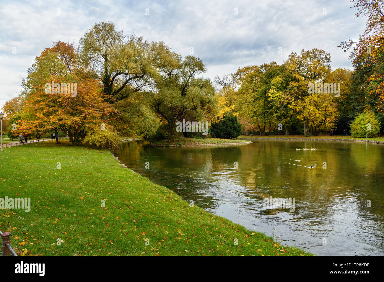 Fall foliage park englischer garten hi-res stock photography and images ...