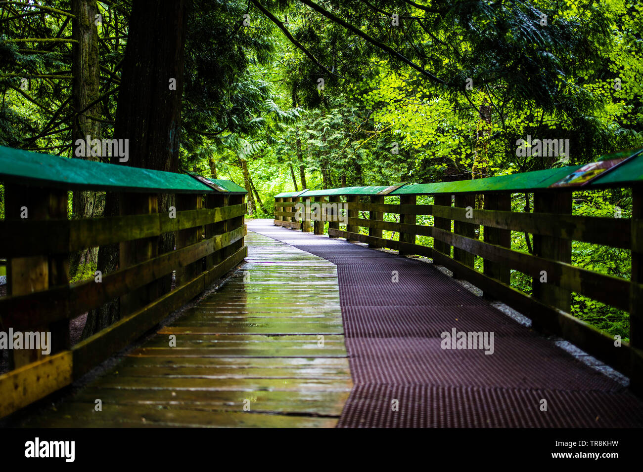 Wet bridge hi-res stock photography and images - Alamy
