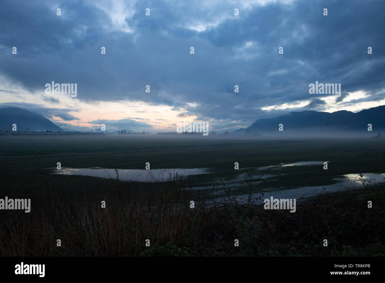 Dark wet landscape hi-res stock photography and images - Alamy