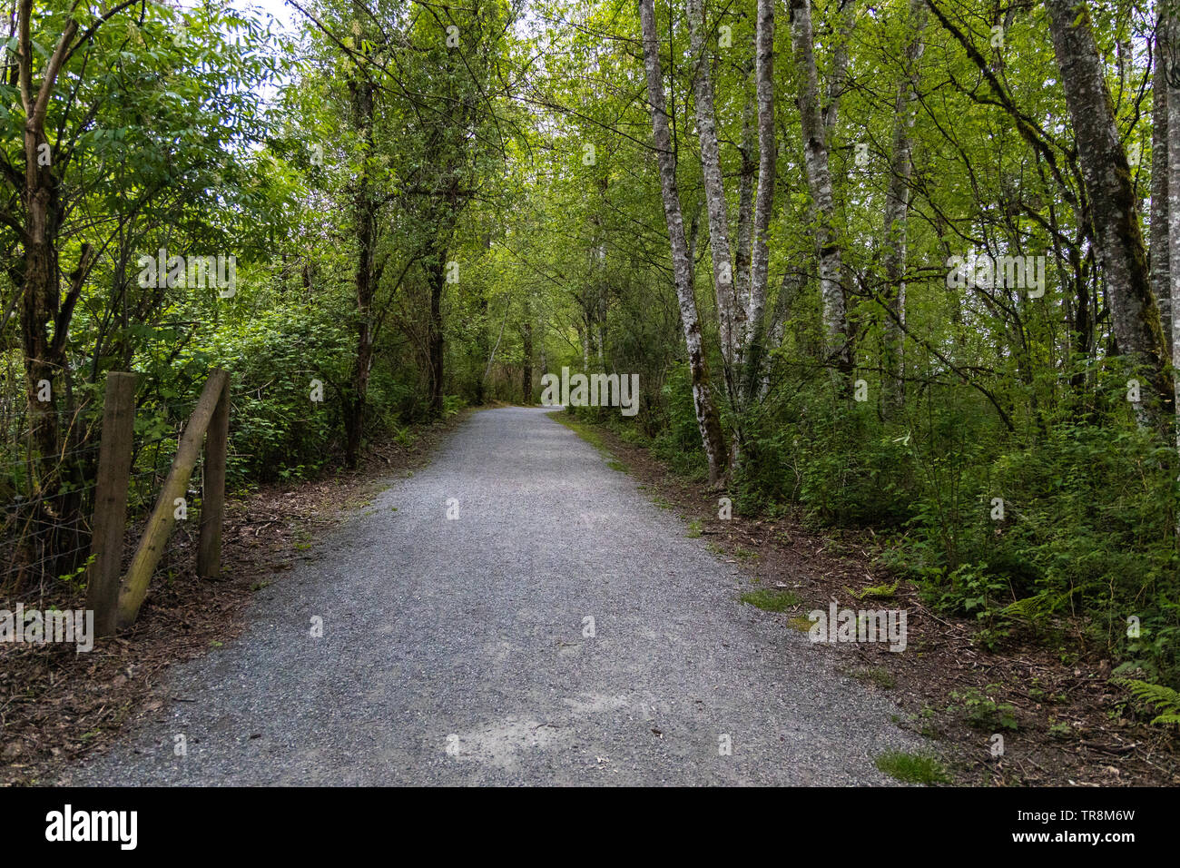 Gravel pathway hi-res stock photography and images - Alamy