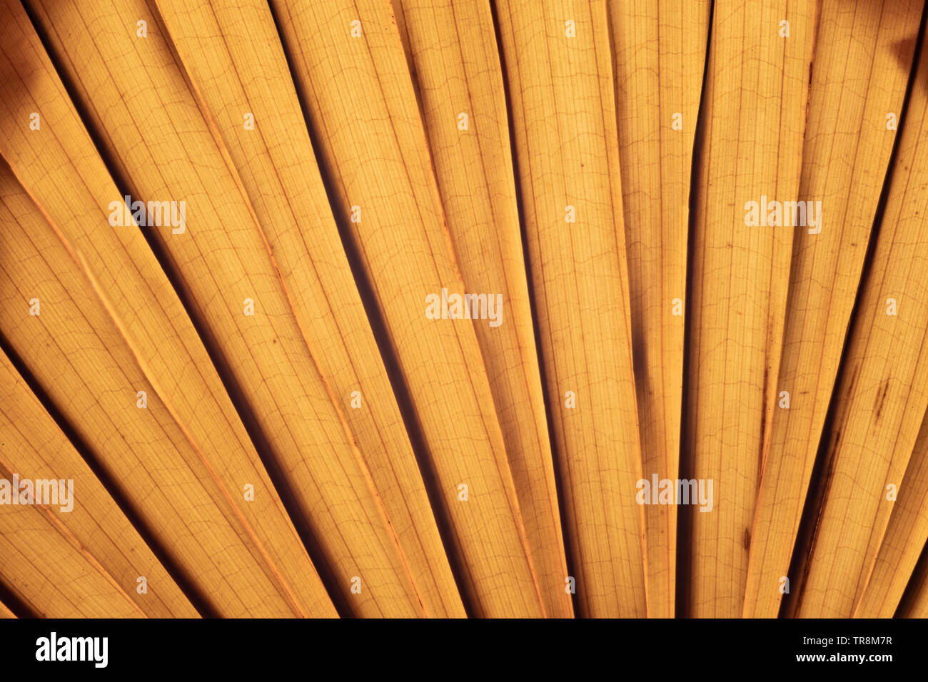 Straw Hand Fan Stock Photo - Alamy