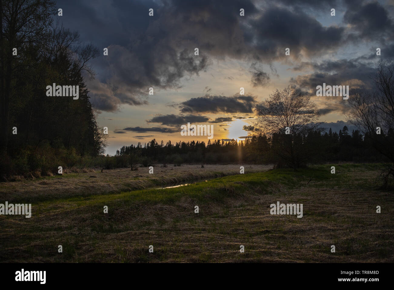 Sun setting over wetlands hi-res stock photography and images - Alamy