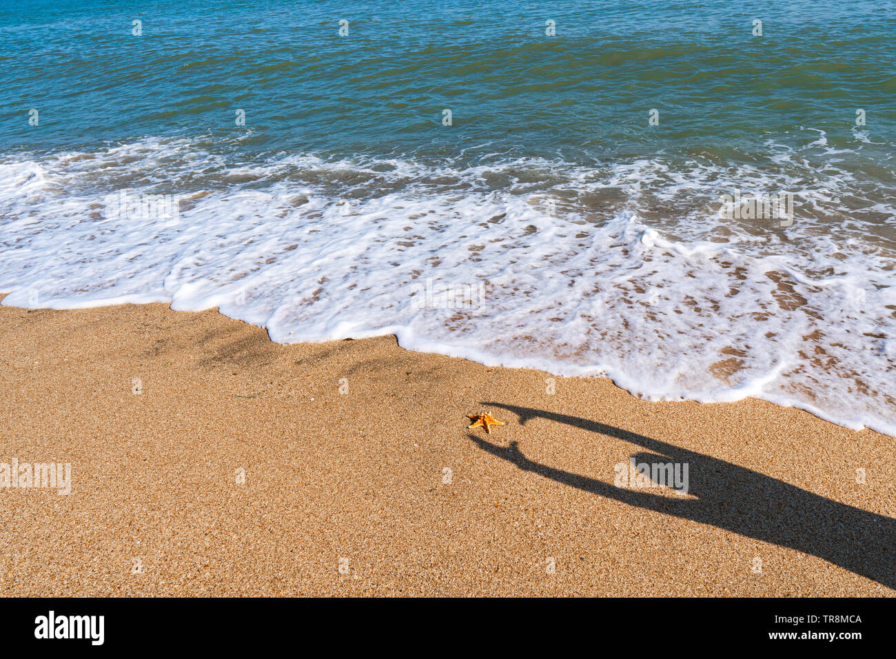 Man shadow on the hot sea sand Stock Photo - Alamy