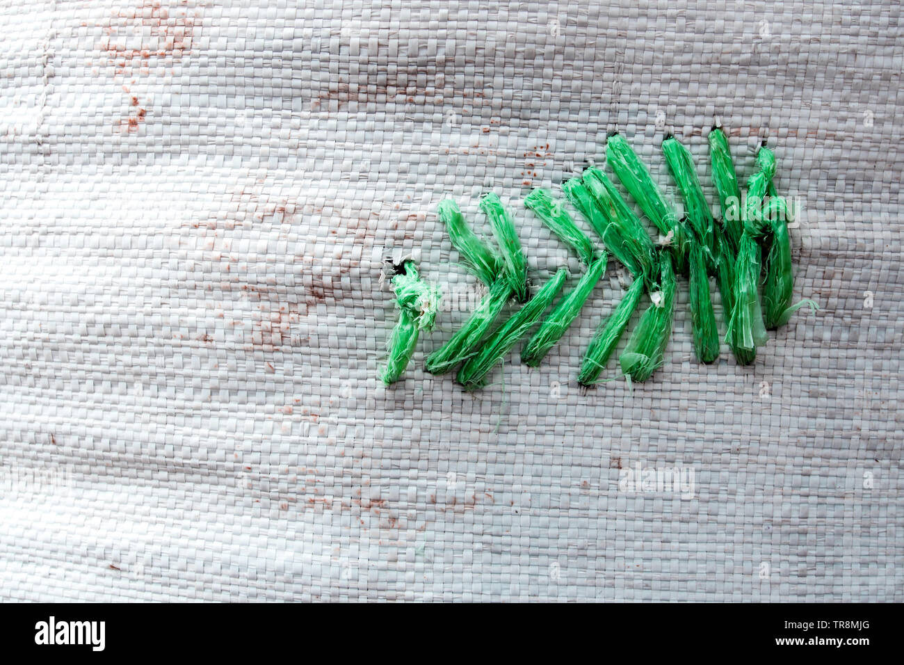 Rag green plastic rope sewing at the tear of old woven plastic bag ...