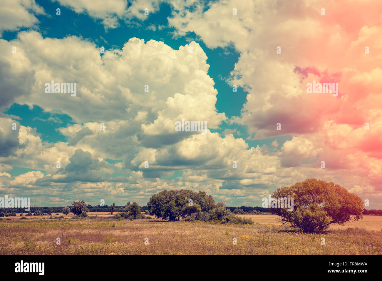 Countryside. Rural landscape. Field with blue sky and beautiful clouds ...