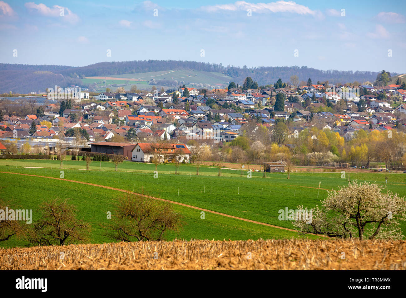 Rural mountain landscape in spring. Farmland during sunset. Countryside ...