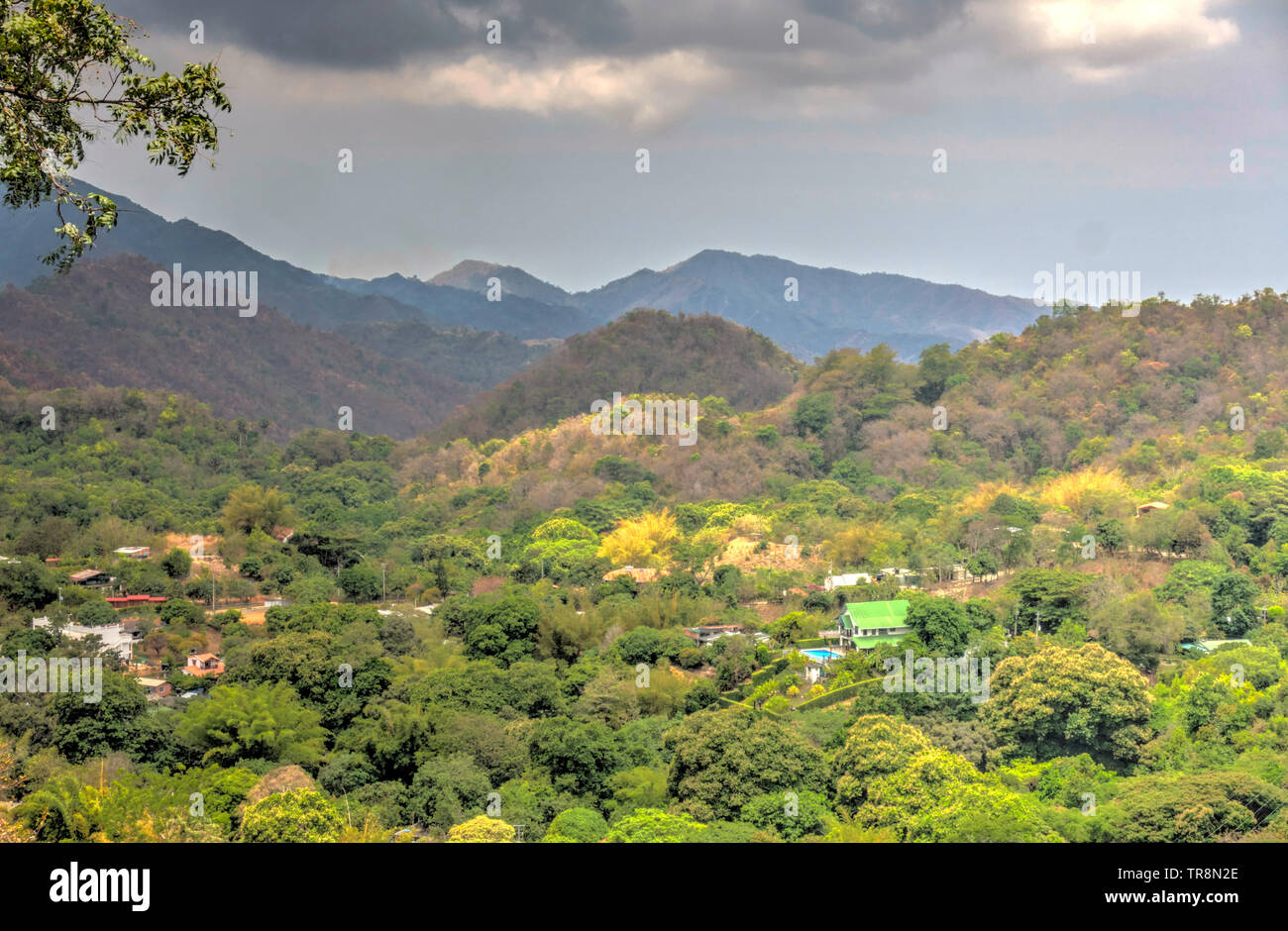 Minca colombia coffee hi-res stock photography and images - Alamy