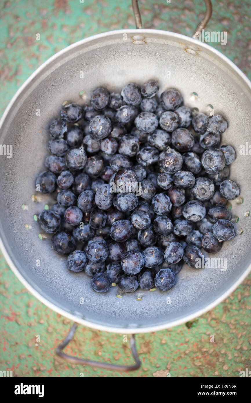 Fresh blueberries in colander hi-res stock photography and images - Alamy